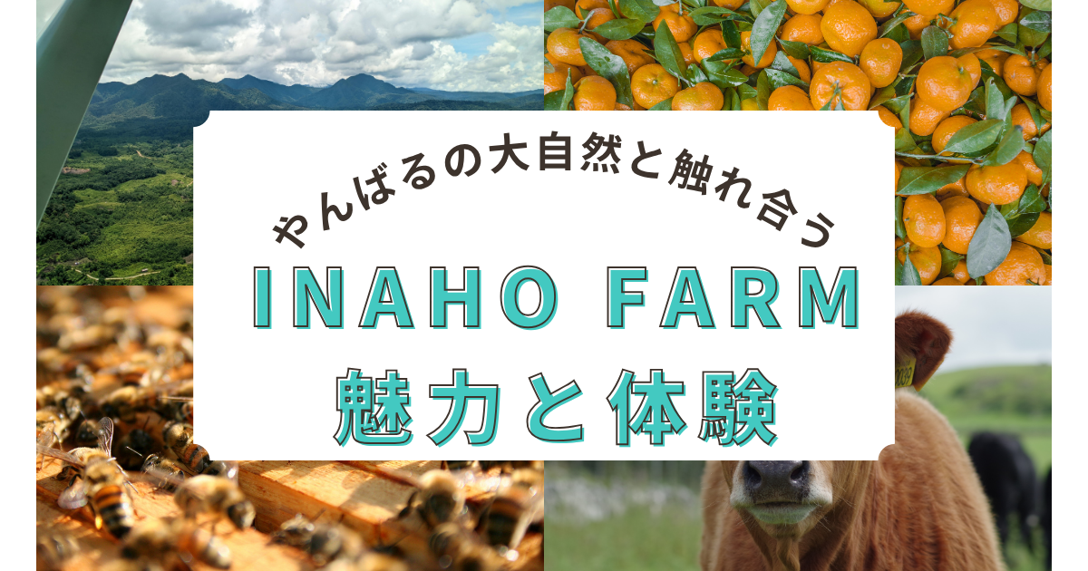 やんばるの大自然と触れ合う：INAHO FARMの魅力と体験 | okinawa next